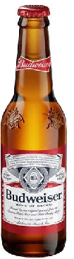 Budweiser Bottle - Beer
